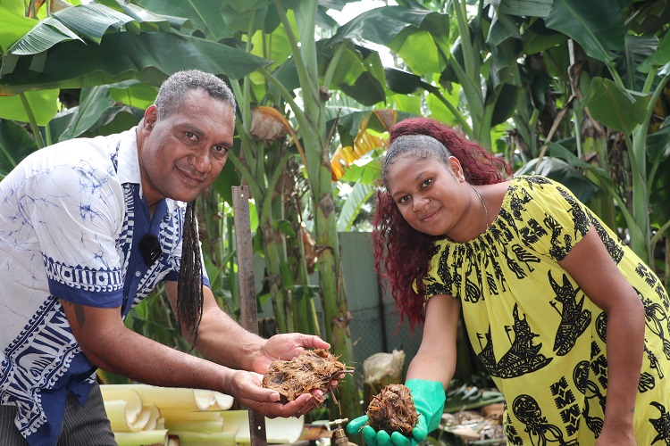 Turning banana stems into biodegradable paper